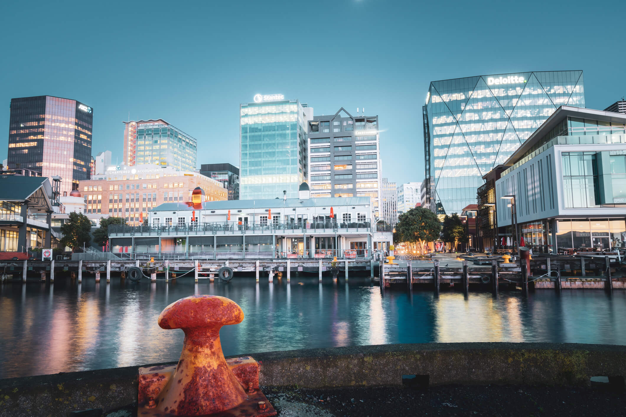 Need Debt Collection in Wellington? | Cameron Lawyers